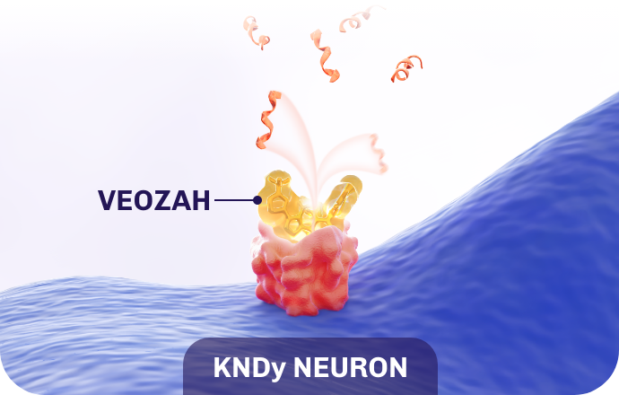 VEOZAH® (fezolinetant) tablets target a source of VMS | For HCPs